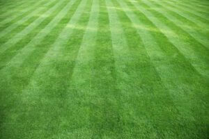 Grass Zone Maps & Lawn Zones | Toro YardCare