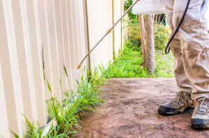 Invasive Grasses in Lawns: A Guide | Toro YardCare